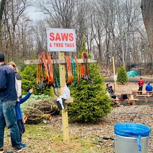 THE DEVIL’S TREE - Updated November 2024 - Mountain Rd, Basking Ridge ...