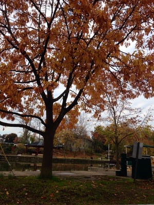 NAZARETH COLLEGE OF ROCHESTER - Updated July 2025 - 14 Photos - 4245 ...