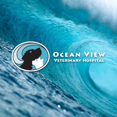 OCEAN VIEW VETERINARY HOSPITAL - Updated December 2025 - 20 Photos & 73 ...