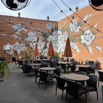 MESO MAYA COMIDA Y COPAS - 2719 Photos & 2973 Reviews - 1611 Mckinney ...