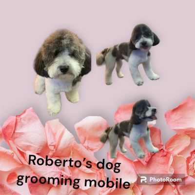 ROBERTOS DOG GROOMING MOBILE - Updated September 2024 - 215 Photos & 32 ...