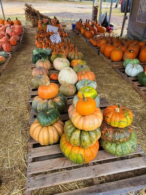 MERK FARMS - Updated October 2025 - 23 Photos - 233 Mitchell Rd ...