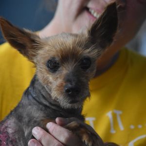 ALMOST HOME HUMANE SOCIETY - Updated March 2026 - 24 Reviews - 1705 S ...