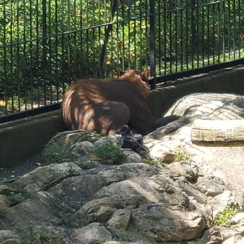 TRAILSIDE MUSEUMS & ZOO - Updated November 2025 - 188 Photos & 34 ...