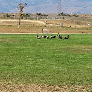 BAYLANDS PARK TRAIL - 375 Photos & 121 Reviews - 999 E Caribbean Dr ...