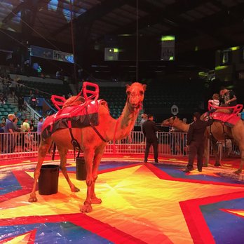 Comerica Center - 47 Photos & 34 Reviews - Stadiums & Arenas - 2601 Ave ...