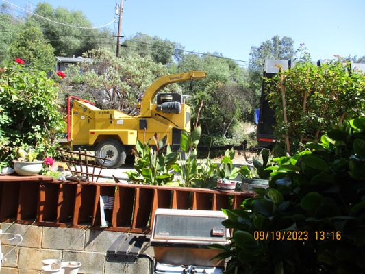 NATE’S TREE SERVICE - Updated June 2026 - 38 Photos & 42 Reviews ...