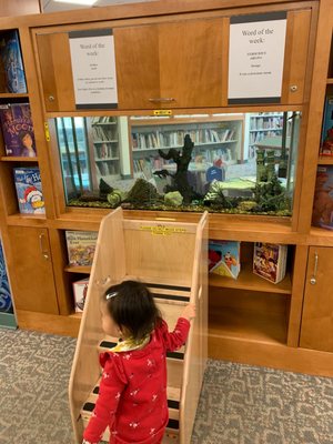 SUFFERN FREE LIBRARY - Updated July 2025 - 12 Photos & 13 Reviews - 210 ...
