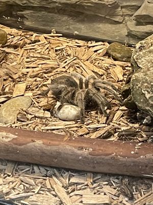 NEUSEWAY NATURE PARK - Updated May 2026 - 28 Photos - 401 W Caswell St ...