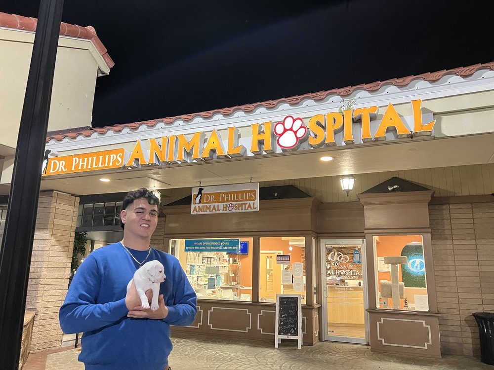 DR. PHILLIPS VET CLINIC - Updated October 2025 - 55 Photos & 75 Reviews ...