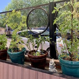 THE SPICERY IN OUR 1895 HOME - Updated September 2025 - 355 Photos ...