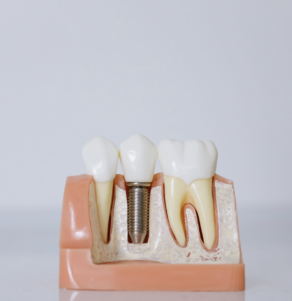 MICHAEL ABELSON, DDS MS - Updated December 2025 - 10 Reviews - 27450 ...