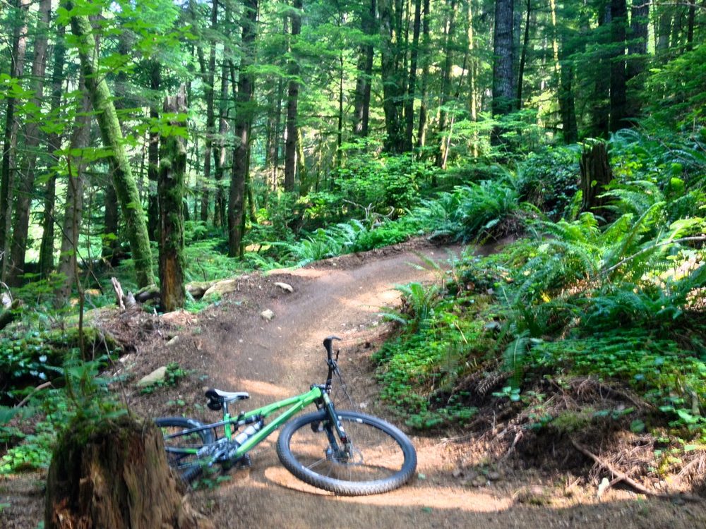 SANDY RIDGE TRAIL SYSTEM - Updated October 2025 - 12 Photos - E Barlow ...