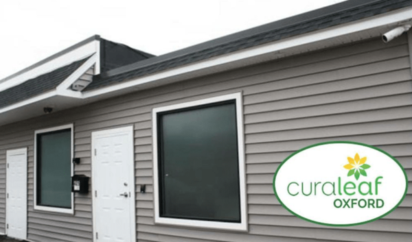 CURALEAF - Updated June 2025 - 23 Photos & 24 Reviews - 425 Main St ...