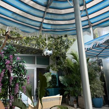 ZZS CLUB MIAMI - Updated July 2025 - 142 Photos & 30 Reviews - 151 NE ...