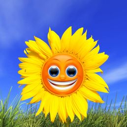 Bright Now! Dental Reviews | Read Customer Service Reviews of brightnow.com