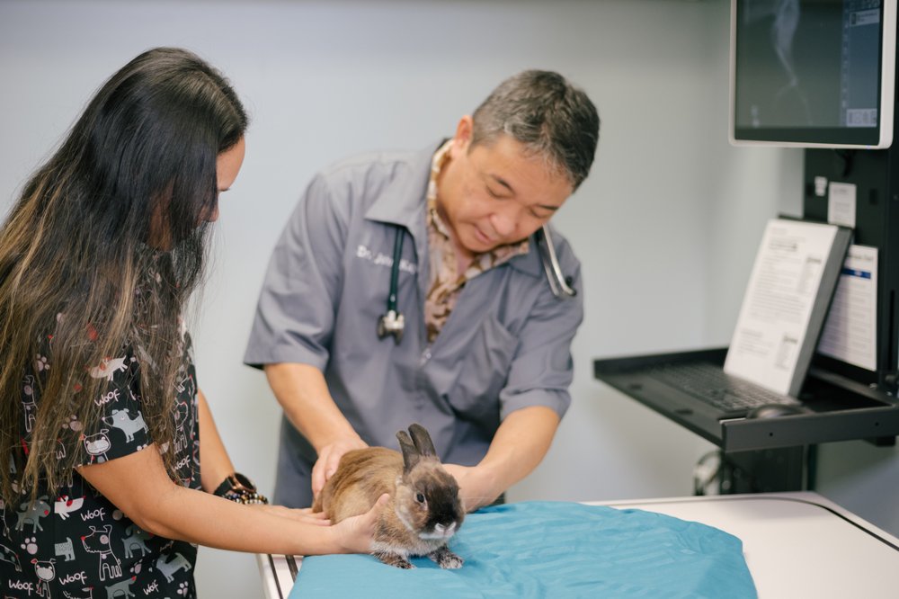 MANOA VALLEY VETERINARY CLINIC - Updated December 2025 - 29 Photos & 34 ...