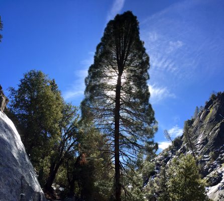 JOHNSONDALE BRIDGE RIVER TRAIL - 23 Photos - 26 Kern River Hwy ...