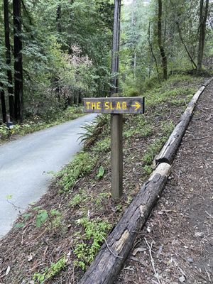 ALLIANCE REDWOODS CONFERENCE GROUNDS - Updated December 2024 - 94 ...