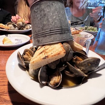 LOST ROO - Updated February 2025 - 526 Photos & 825 Reviews - 1700 ...