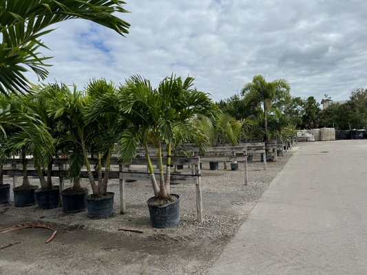 THE BUSHEL STOP - Updated August 2025 - 33 Photos & 28 Reviews - 8640 ...