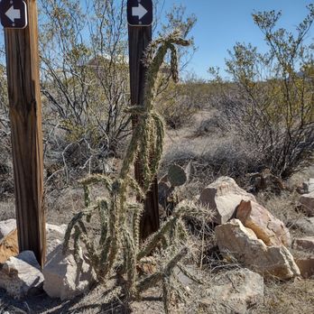 FIRE WATER LODGE - Updated June 2025 - 67 Photos & 68 Reviews - 311 ...