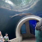 THE DALLAS WORLD AQUARIUM - 3317 Photos & 1187 Reviews - 1801 N Griffin ...
