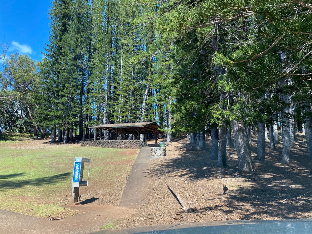 Keaiwa Heiau State Park - 59 Photos & 11 Reviews - Hiking - 991849 Aiea ...