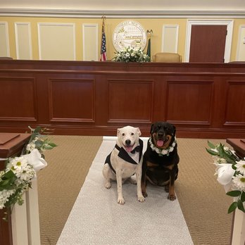 CARALUZZI’S DANBURY MARKET - Updated January 2026 - 129 Photos & 21 ...