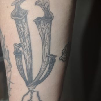 GRAY WASH TASH TATTOOS - Updated August 2024 - 42 Photos & 23 Reviews ...