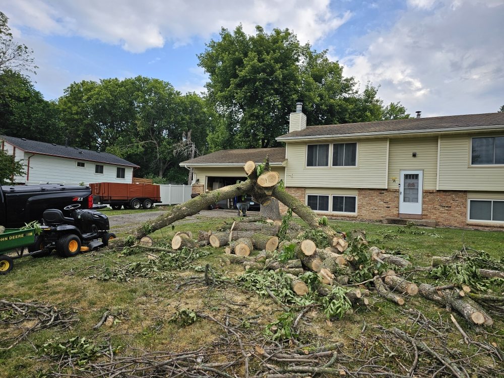HANDYMAN DAN & TREE SERVICE - Updated May 2026 - Chaska, Minnesota ...