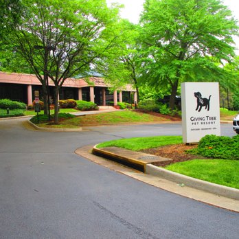 GIVING TREE PET RESORT - Updated February 2025 - 32 Photos & 10 Reviews ...