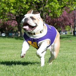WESTERN ILLINOIS UNIVERSITY - 73 Photos & 12 Reviews - Colleges ...