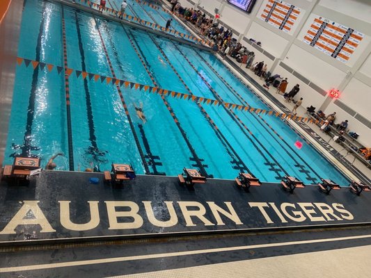 JAMES E MARTIN AQUATICS CENTER - Updated July 2025 - 29 Photos - 664 ...