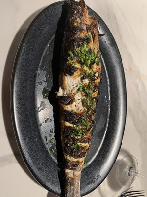 FYR SHORT NORTH - Updated December 2024 - 252 Photos & 120 Reviews ...