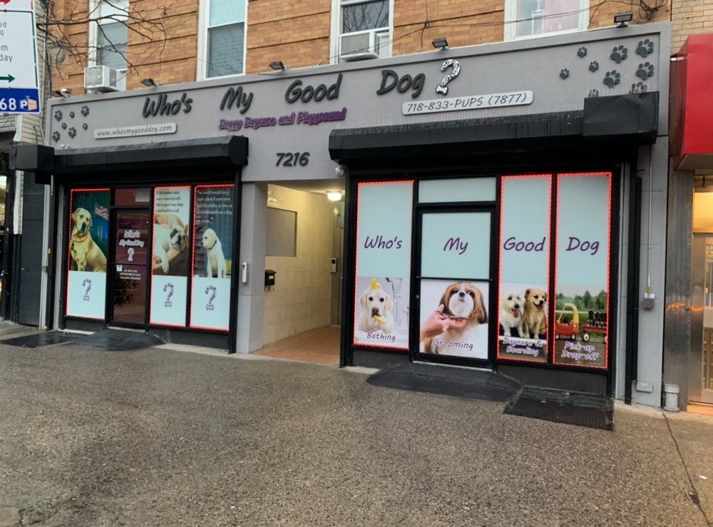 Boarding Dogs In Brooklyn