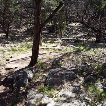 GOOD WATER TRAIL - Updated December 2025 - 24 Photos - Georgetown ...