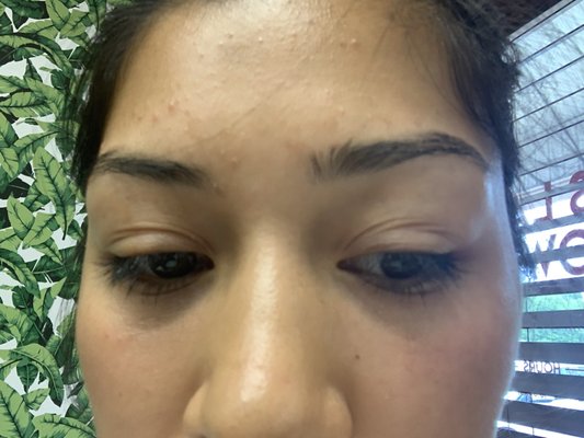 KG’S LASH & BROW BAR - Updated June 2024 - 16 Photos - 4820 Armour Rd ...