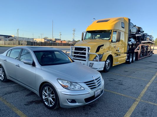 AMERIFREIGHT CAR SHIPPING - Updated January 2026 - 55 Photos & 348 ...