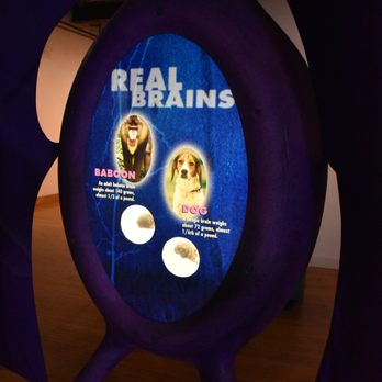 THE MUSEUM - Updated December 2025 - 23 Photos - 10 King Street W ...