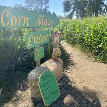 LITTLE FIELD FARMS - Updated January 2026 - 31 Photos & 16 Real Reviews ...