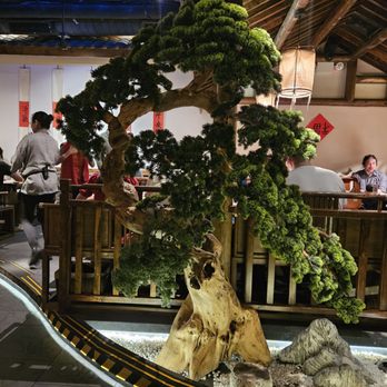 CHELI - FLUSHING - Updated May 2025 - 986 Photos & 218 Reviews - 133-42 ...