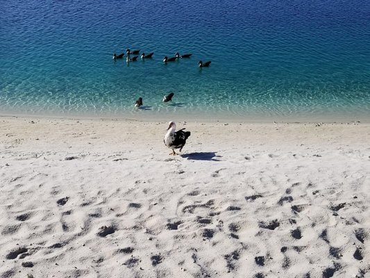 TIGERTAIL LAKE RECREATIONAL CENTER - 20 Photos & 10 Reviews - Water ...