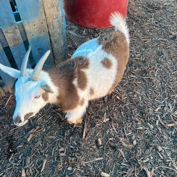 BARBER FAMILY FARM - Updated January 2026 - 336 Photos & 42 Reviews ...