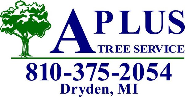 A PLUS TREE SERVICE - Updated October 2025 - Dryden, Michigan - Tree ...