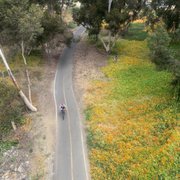 SAN LUIS REY BIKE TRAIL - 132 Photos & 53 Reviews - Hiking - College ...
