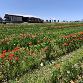 HOWARD FAMILY FARM - Updated January 2026 - 68 Photos & 12 Reviews ...