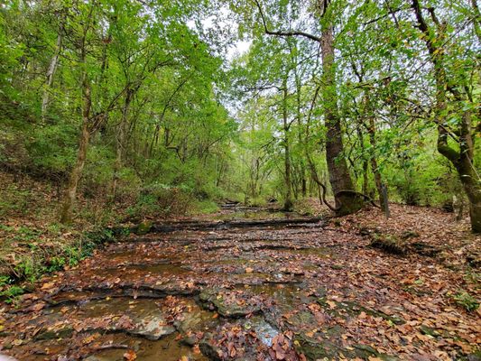 RAVEN RUN NATURE SANCTUARY - 288 Photos & 44 Reviews - 3990 Raven Run ...