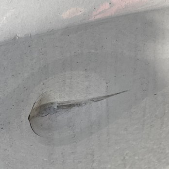 BUMPER BUDDIES - Updated July 2024 - 176 Photos & 92 Reviews - 9814 N ...