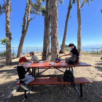 CURIODYSSEY - Updated July 2025 - 911 Photos & 355 Reviews - 1651 ...